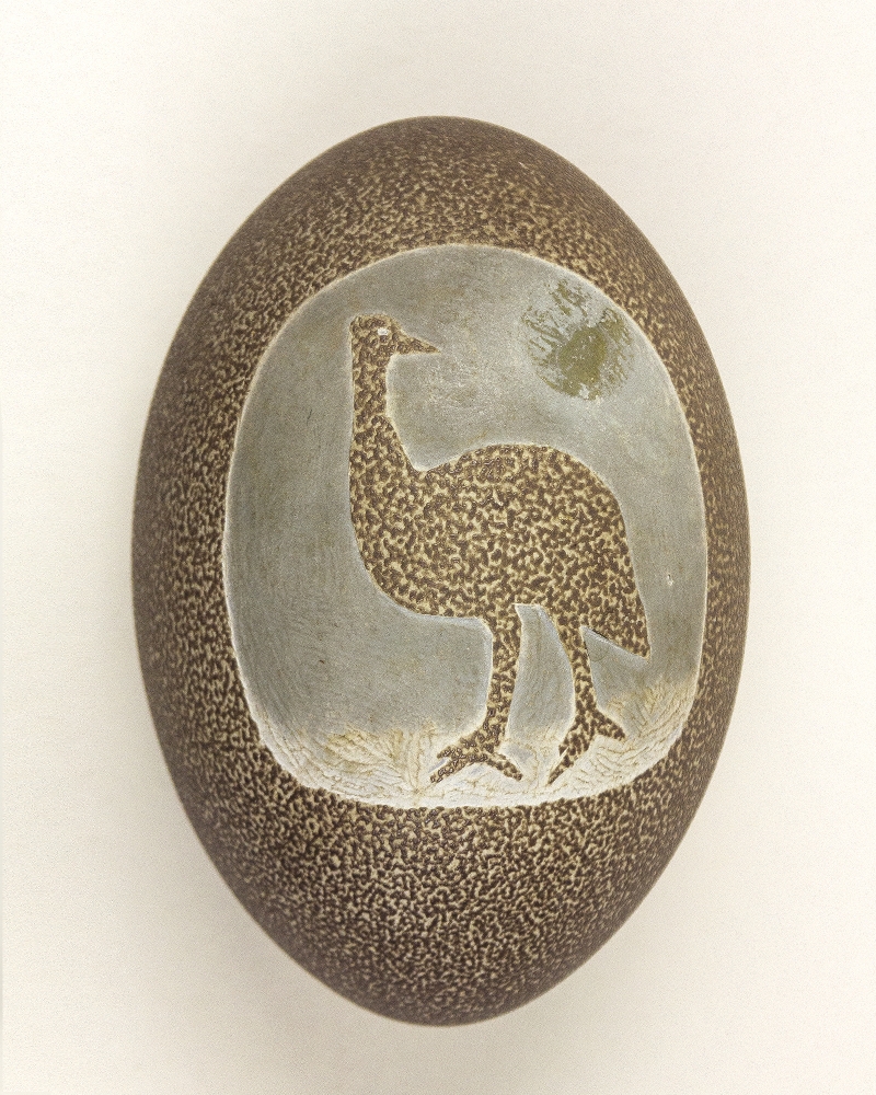 Taxidermy Carved Emu Egg - Emu