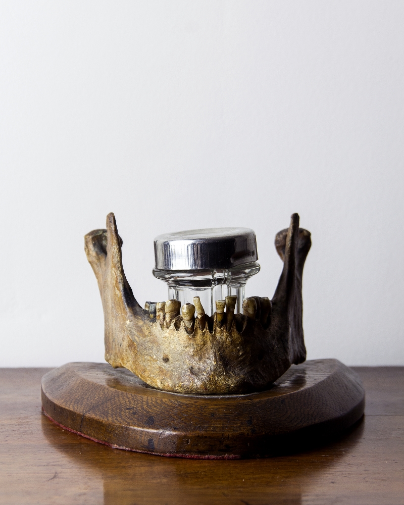 Human Jaw-bone Ink Well