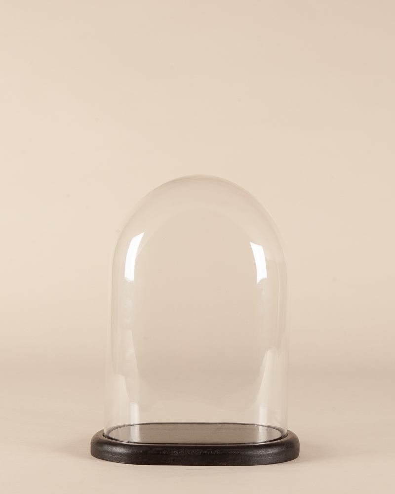 Taxidermy Antique oval glass dome