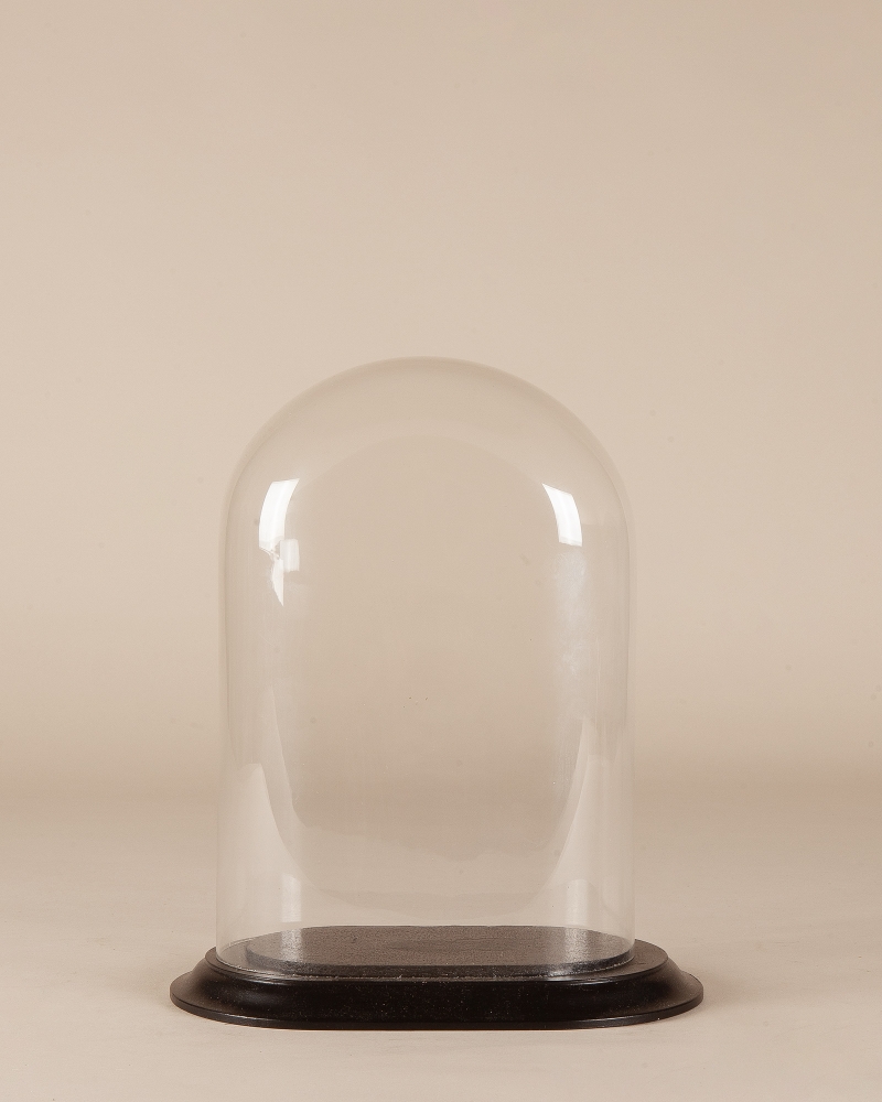 Taxidermy Antique oval glass dome
