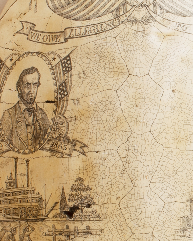 Taxidermy Replica scrimshaw blonde turtle shell