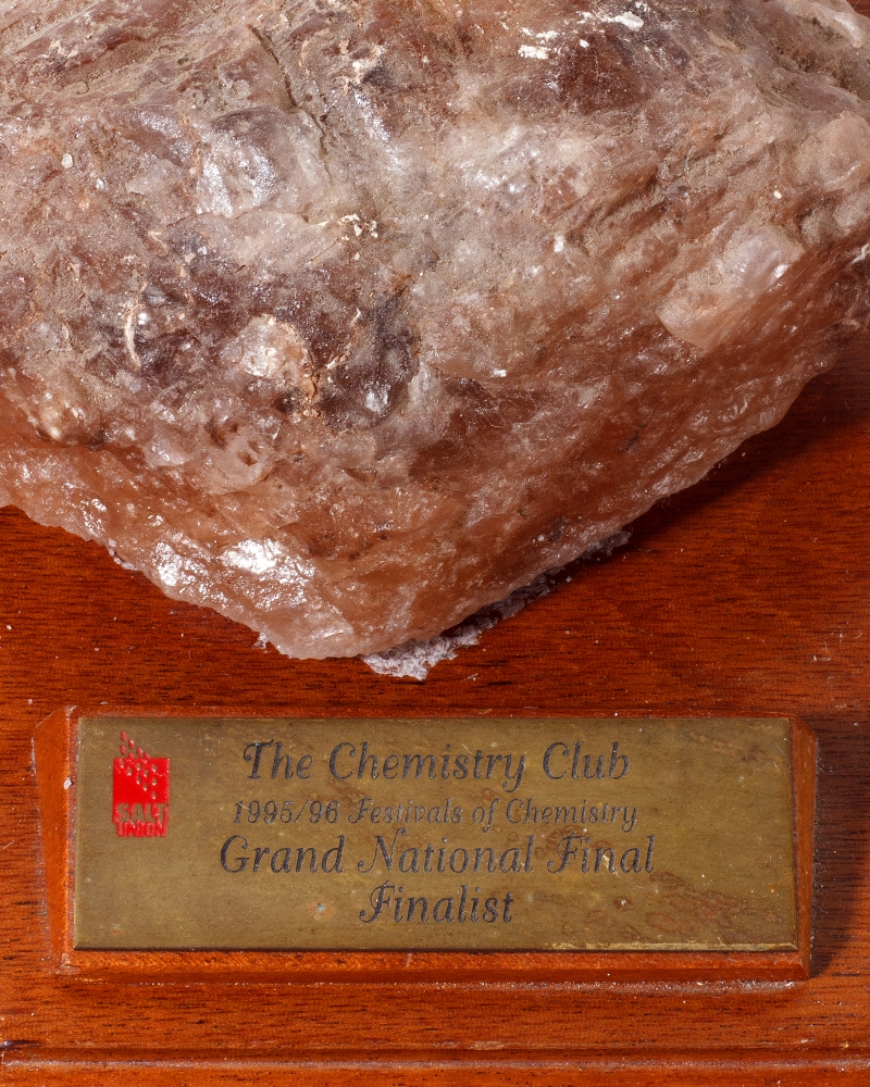 Taxidermy Rock Salt Trophy