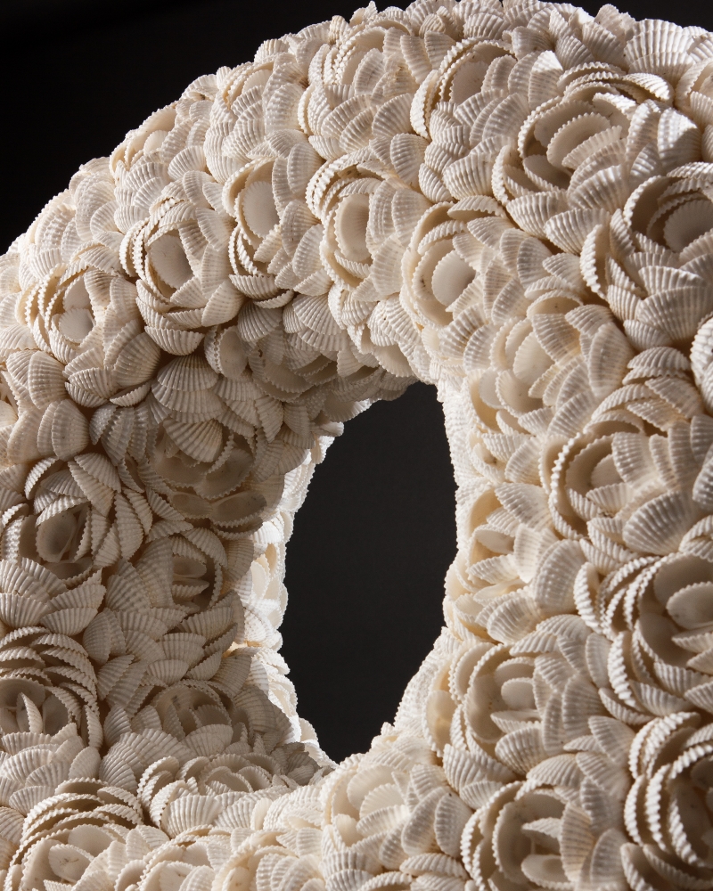 Taxidermy Shell Sculpture