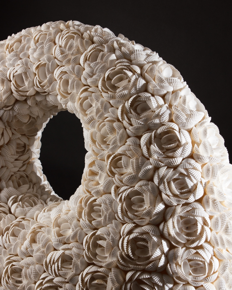 Taxidermy Shell Sculpture