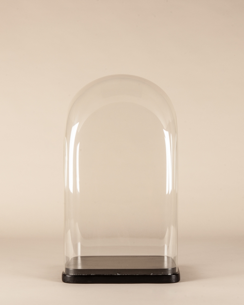 Taxidermy Antique square sided glass dome