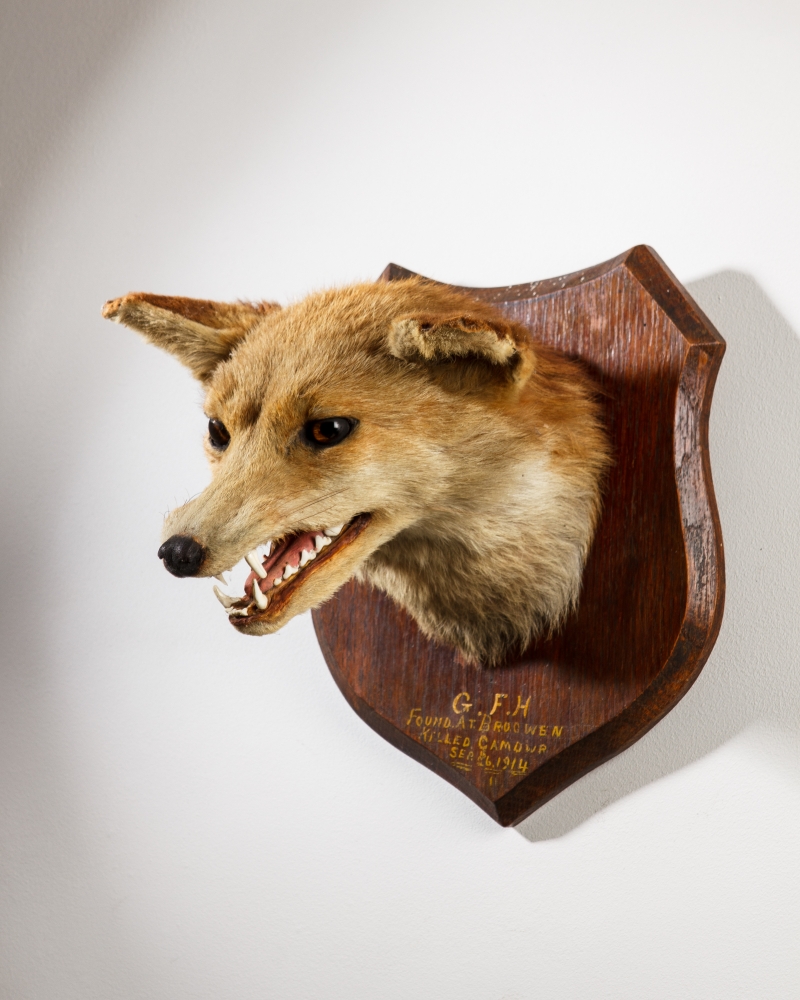 Taxidermy Fox Mask by James Hutchings