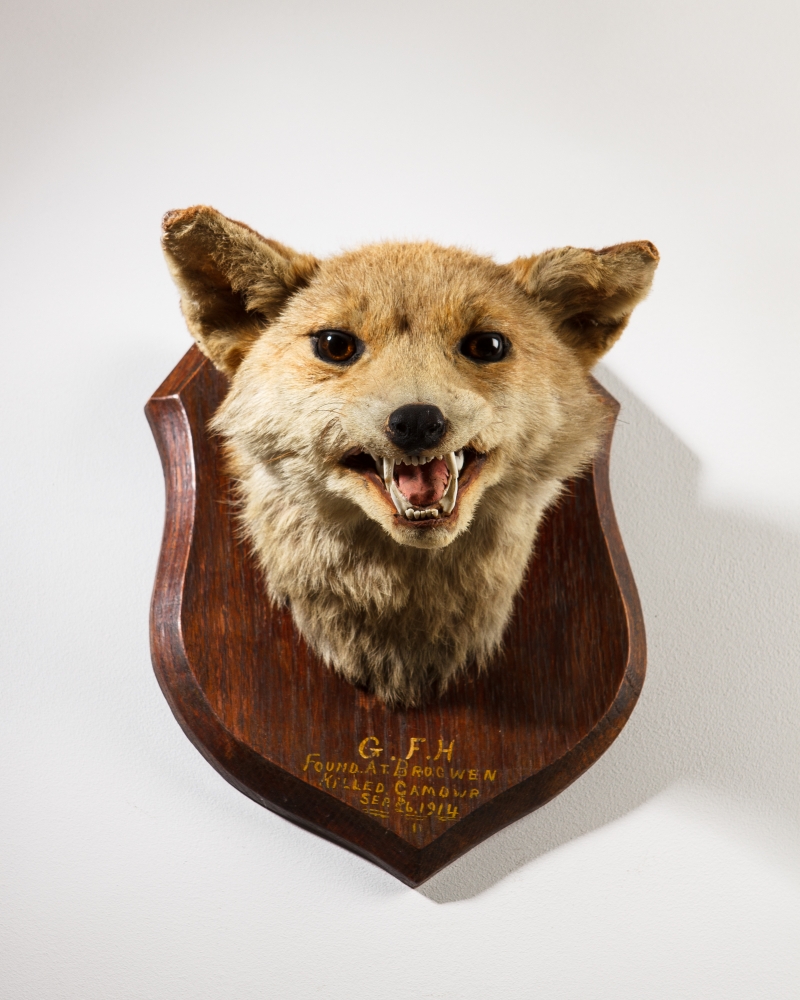 Taxidermy Fox Mask by James Hutchings